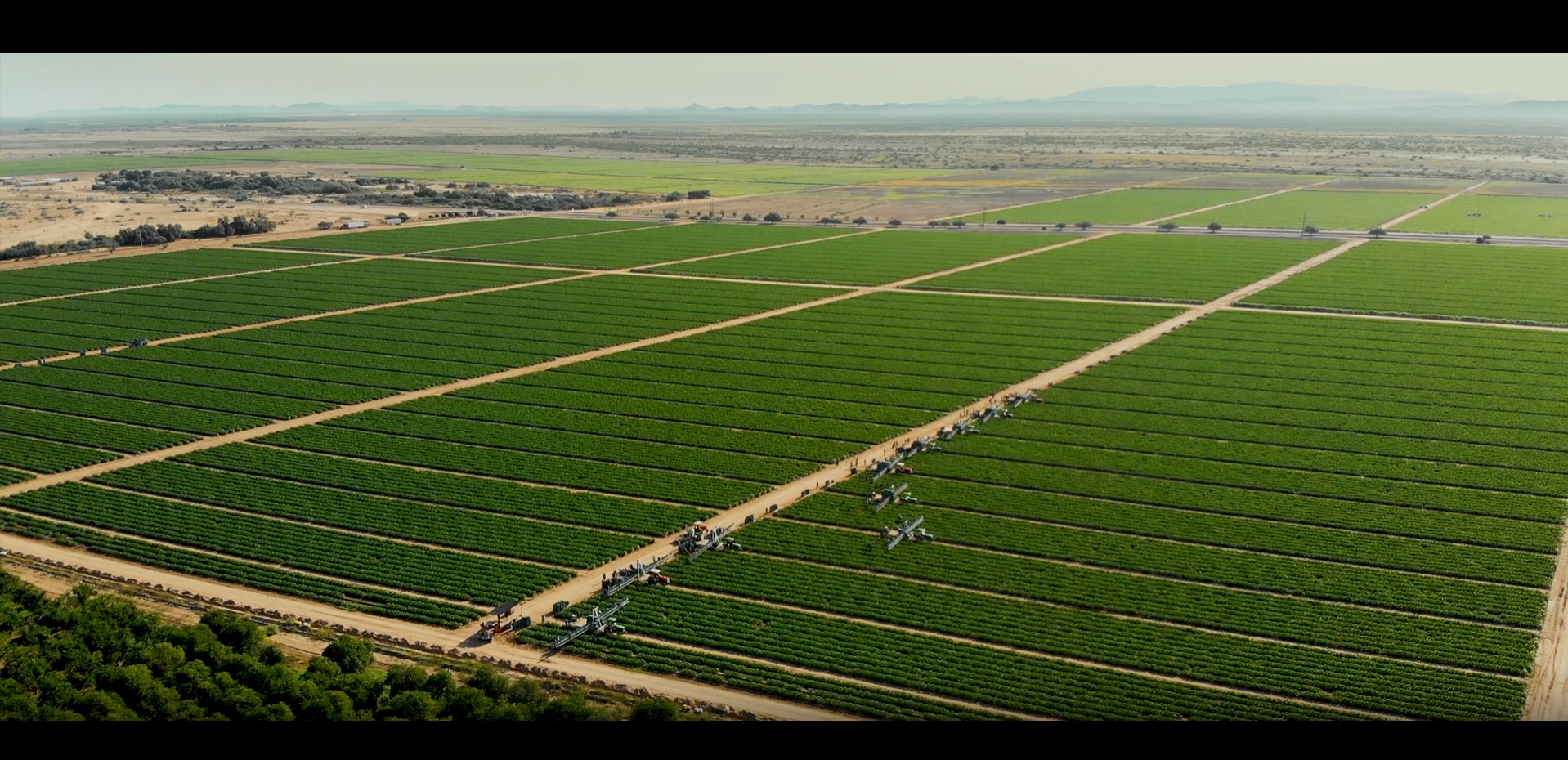 AGROCIR GROUP